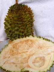 durian-fruit-wwwthelongestwayhomecom – The Longest Way Home Travel Blog